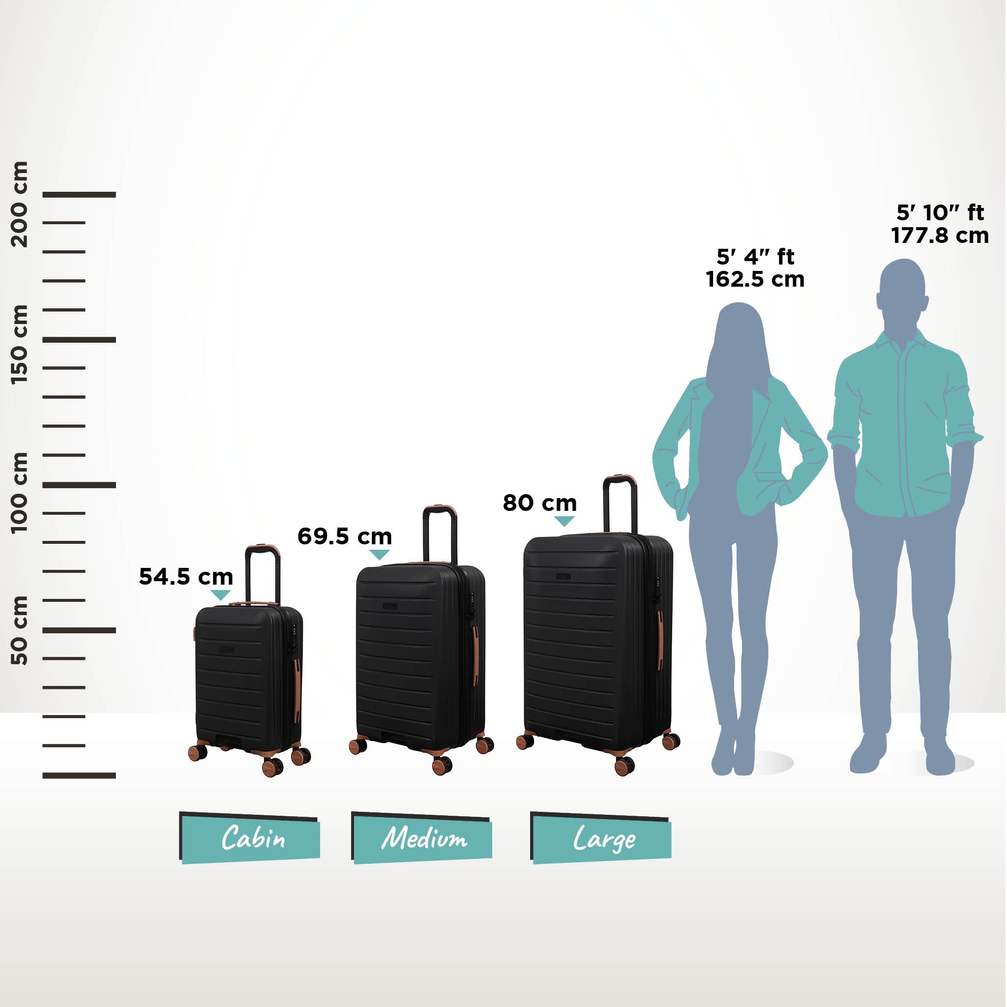 it Luggage | Legion Trunk - Cabin in Black